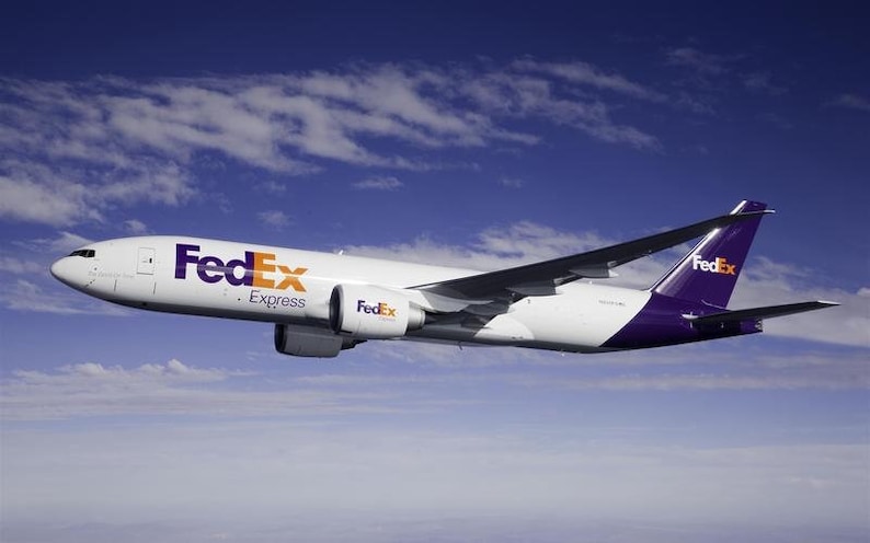 Expedited Fedex or DHL Express Shipping - Etsy