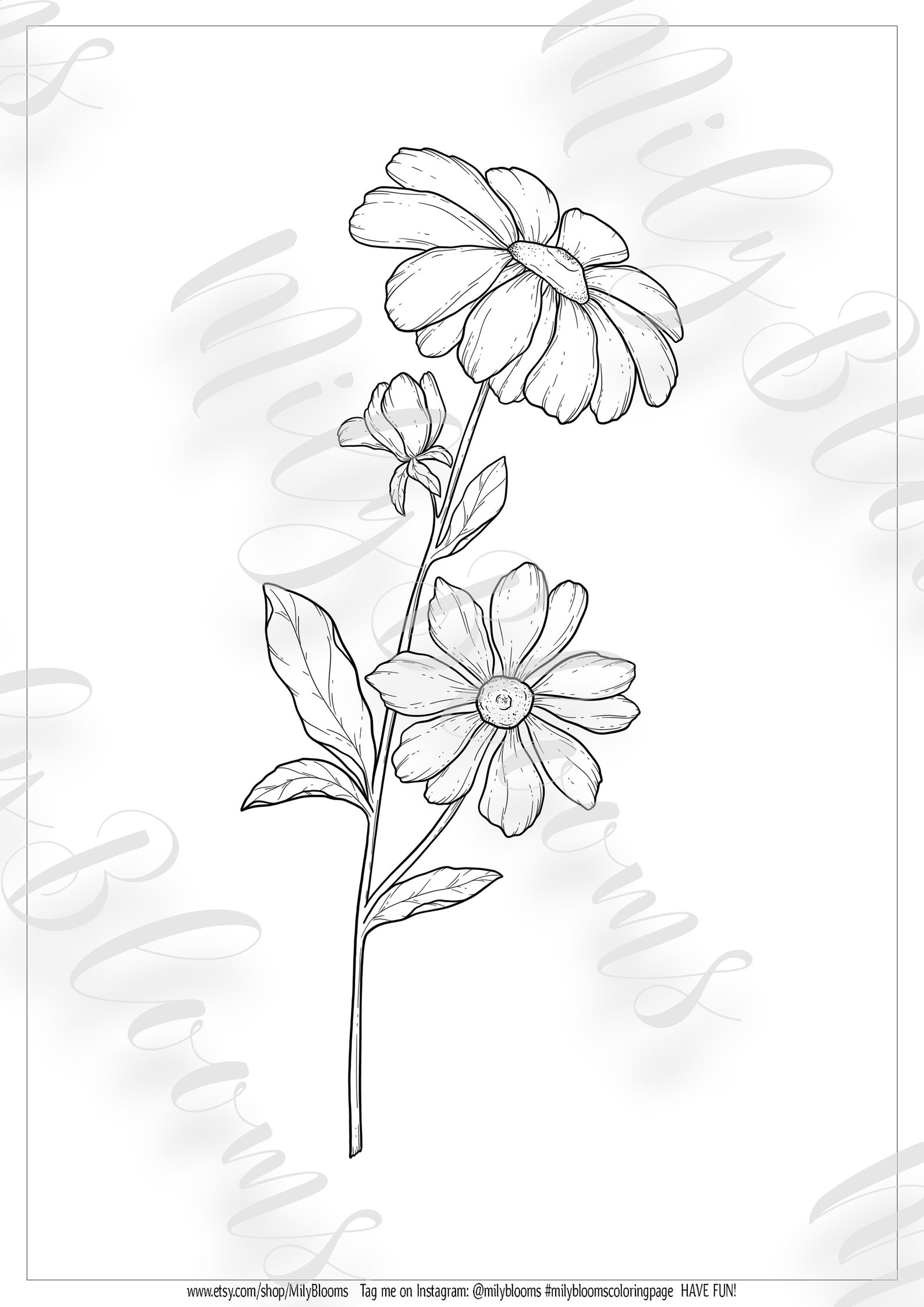 PRINTABLE and DIGITAL Adults Coloring Page Bundle Wildflower - Etsy