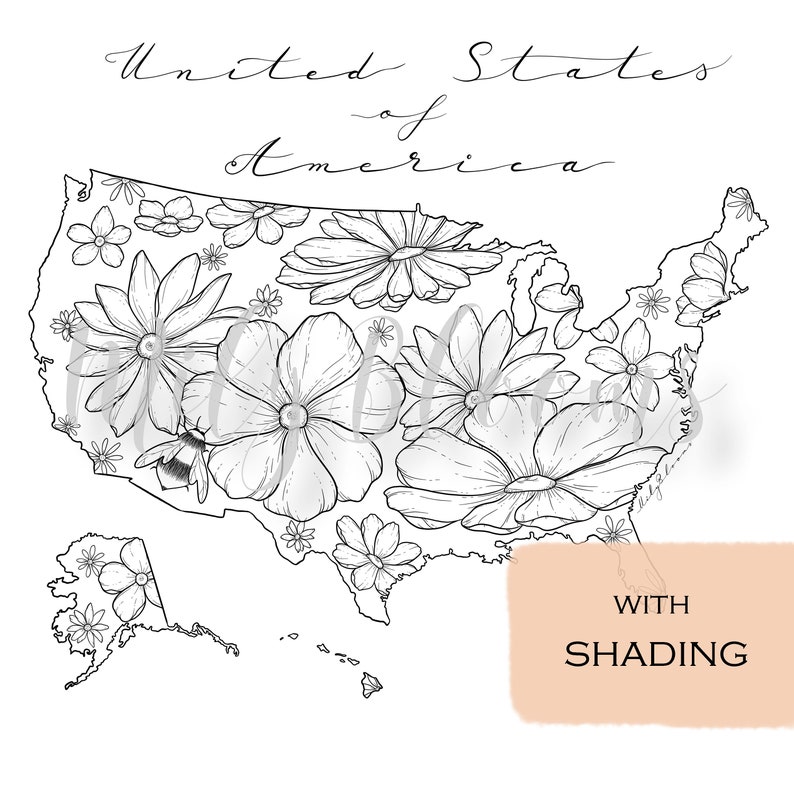 PRINTABLE and DIGITAL Adults Coloring Page Floral USA Map - Etsy