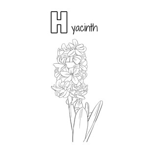 Alphabet Flower Coloring Pages for Kids, Educational Coloring Activity ...