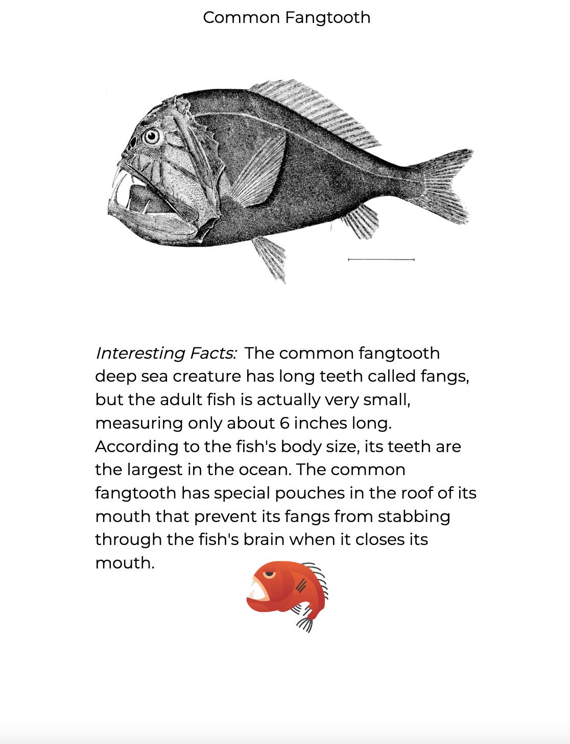 Sea Animals: A Week-long Lesson Plan for Teachers and Homeschool ...