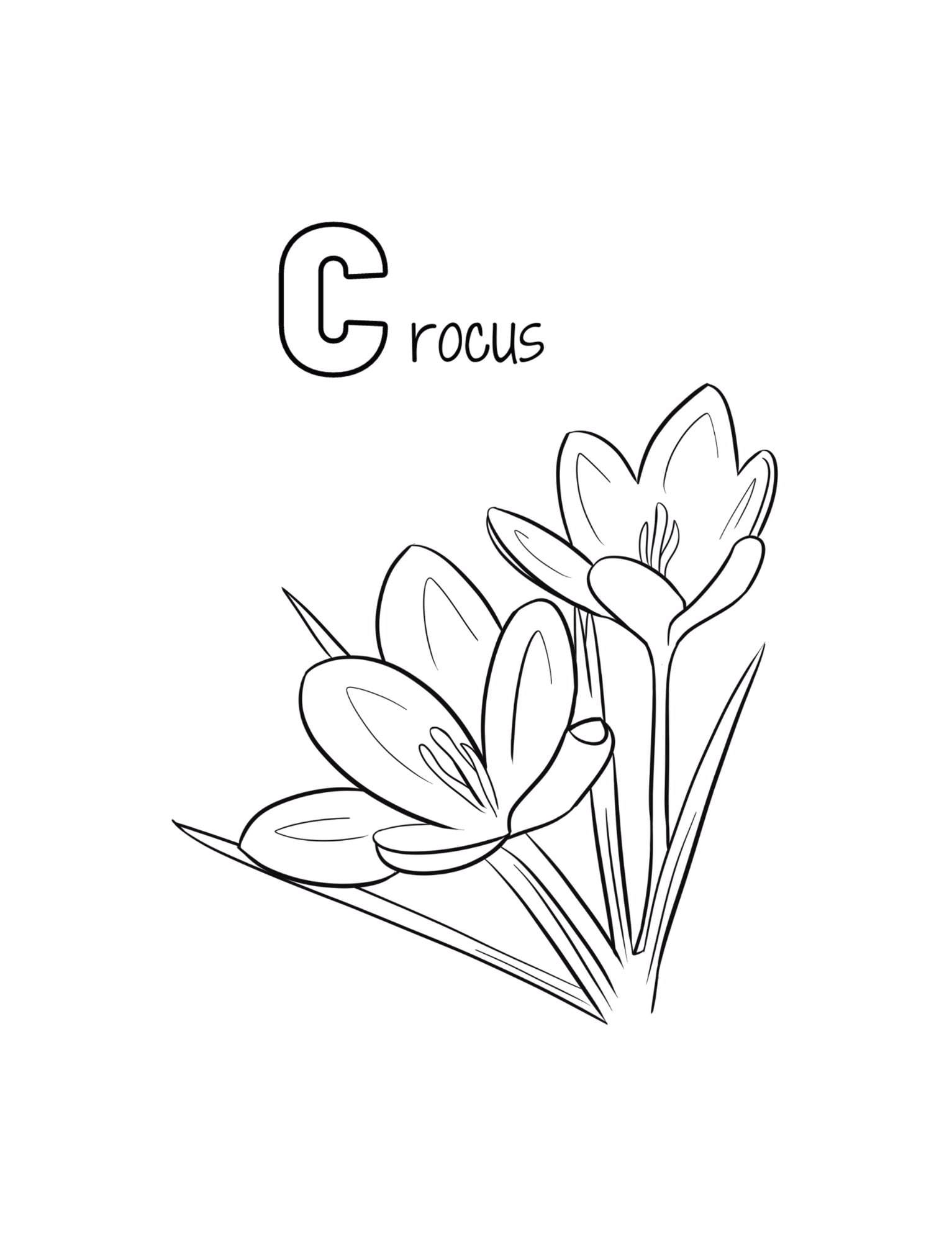 Alphabet Flower Coloring Pages for Kids, Educational Coloring Activity ...