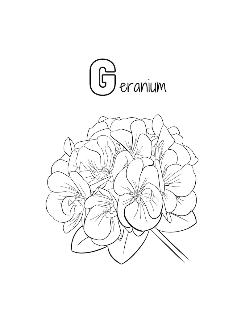 Alphabet Flower Coloring Pages for Kids, Educational Coloring Activity ...