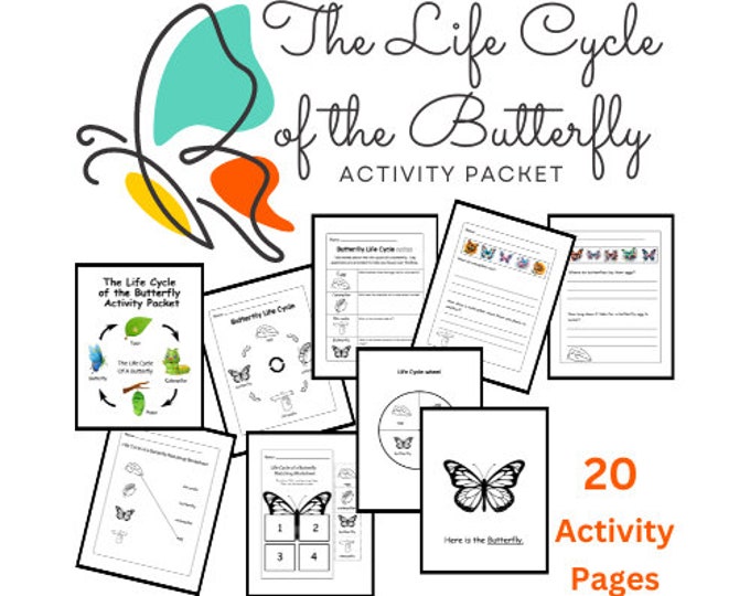 Life Cycle of a Butterfly Educational Craft & Research Report - Etsy Canada