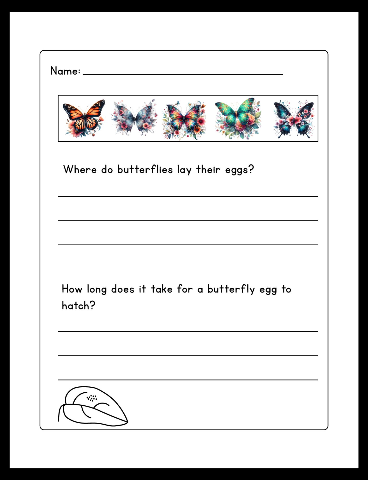 The Life Cycle of the Butterfly Activity Packet 1, Identify the Four ...
