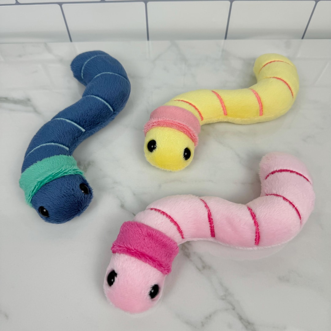 Worm Earthworm Minky Plush Plushie Gift Handmade Made to Order Colorful ...