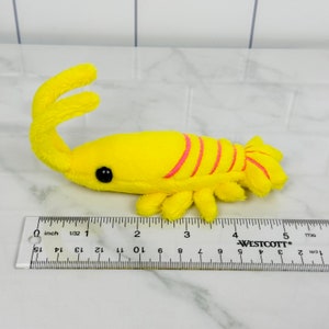 Adorable Colorful Shrimp Ocean Bug Insect Decapoda Crustacean Minky ...