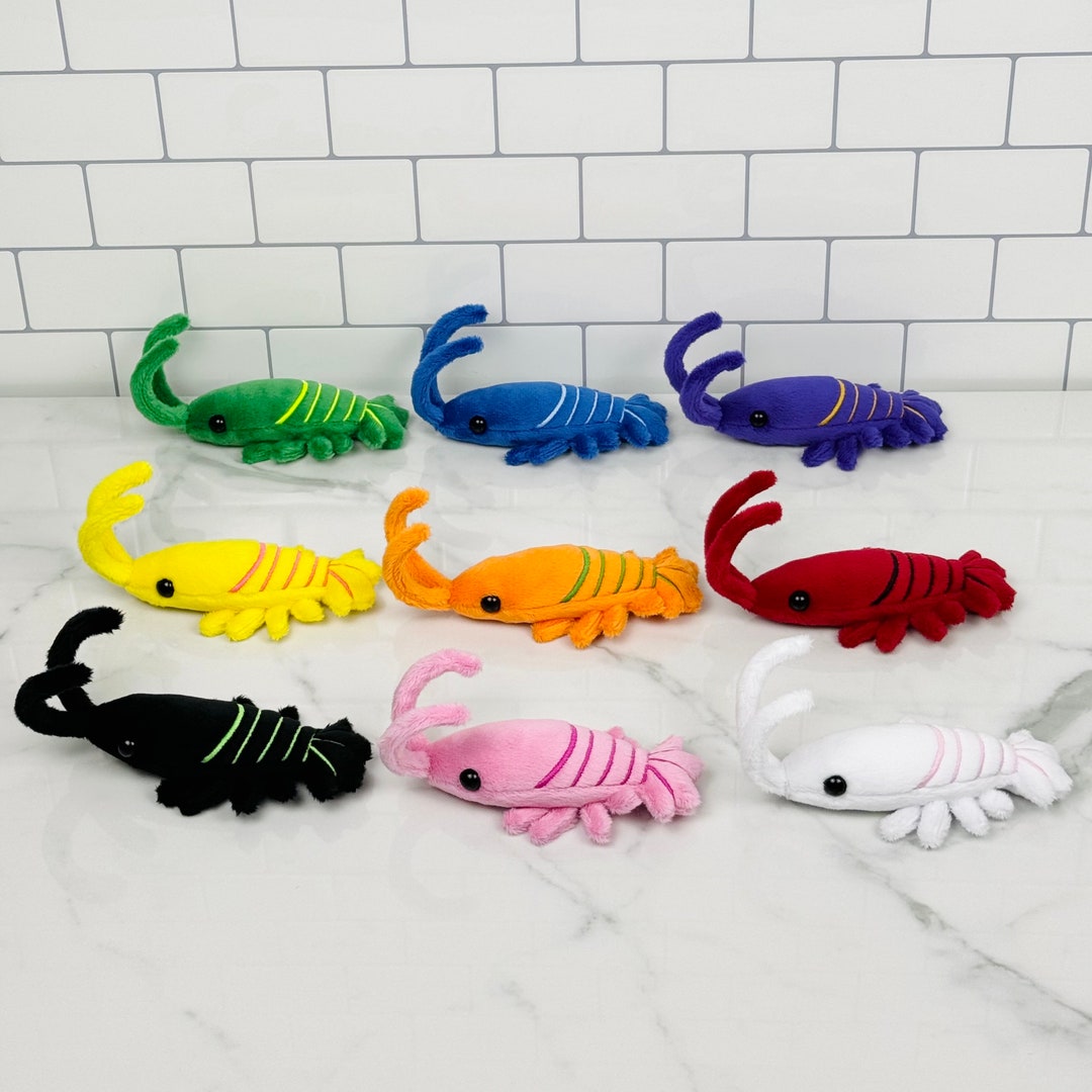 Shrimp Plush – Handmade Minky Ocean Bug Plushie, Colorful Decapoda ...