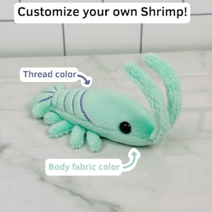 Adorable Colorful Shrimp Ocean Bug Insect Decapoda Crustacean Minky ...
