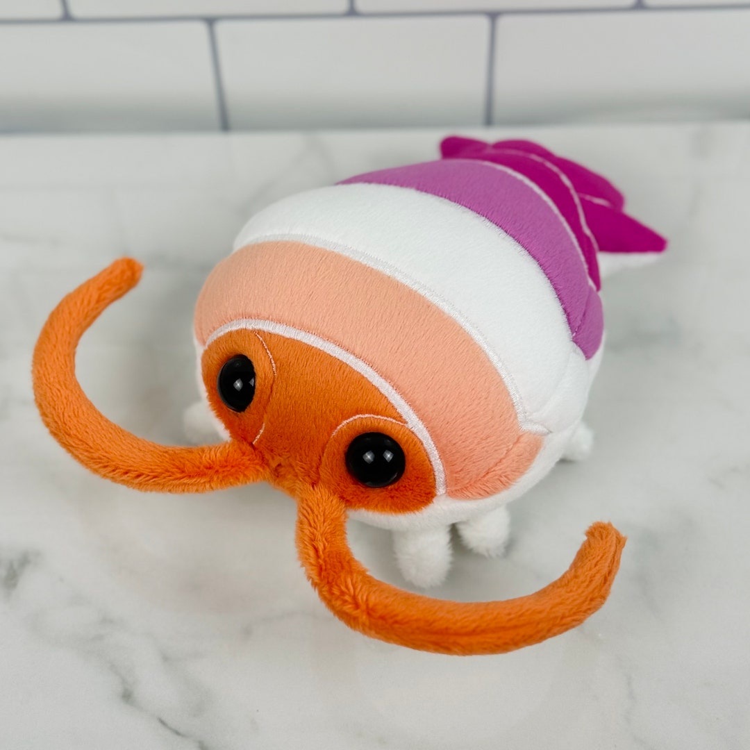 Adorable Colorful Orange White Hot Pink Striped Multicolor Colorful ...