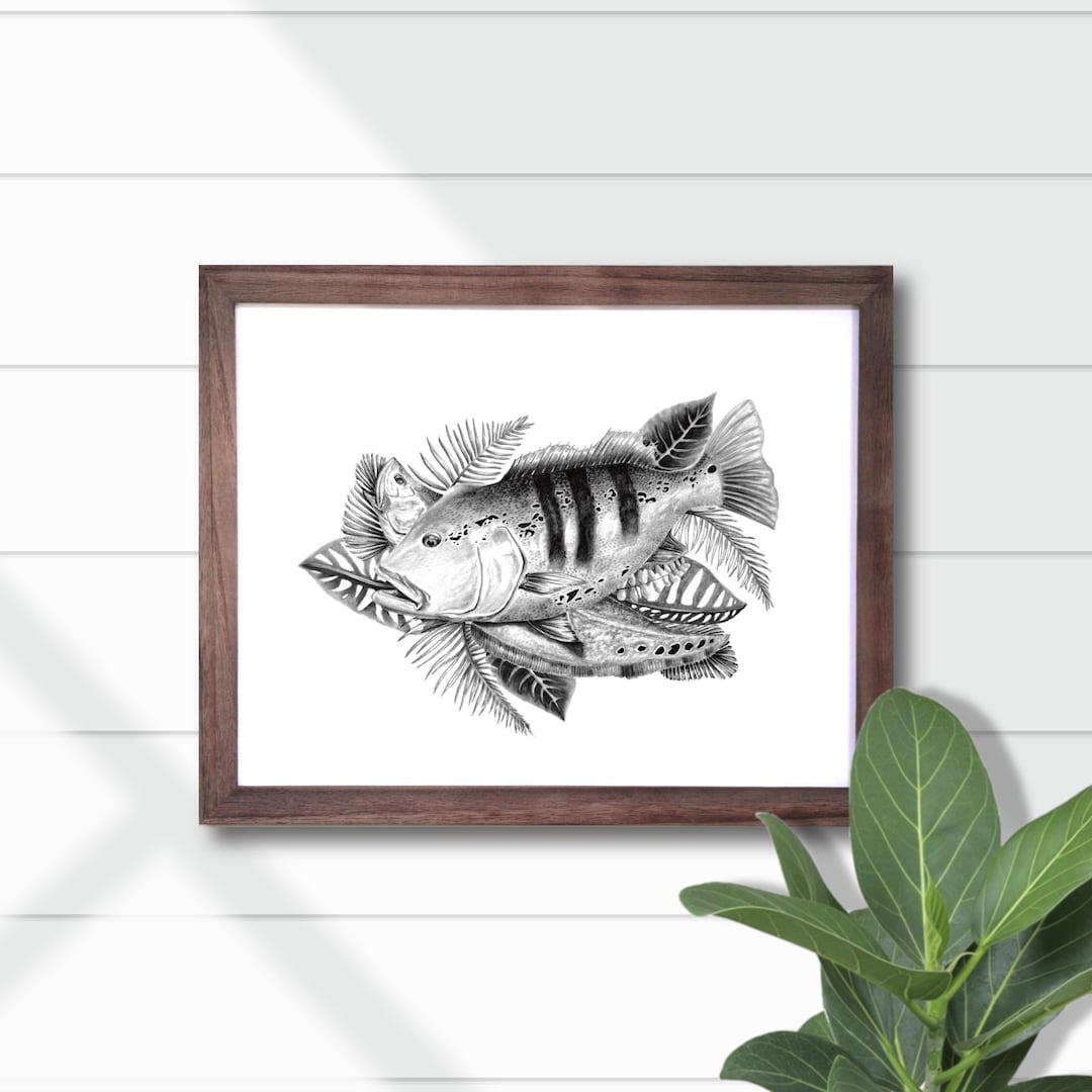 Tropical Peacock Bass Fish Art Print: South Florida Fishing, Charcoal ...