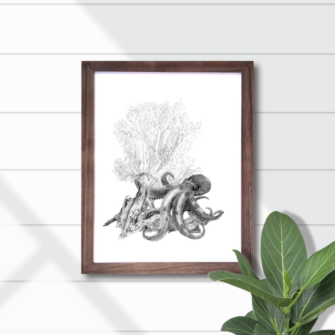 Octopus Fine Art Drawing, Framed Wall Art Print Done With Pencil and ...
