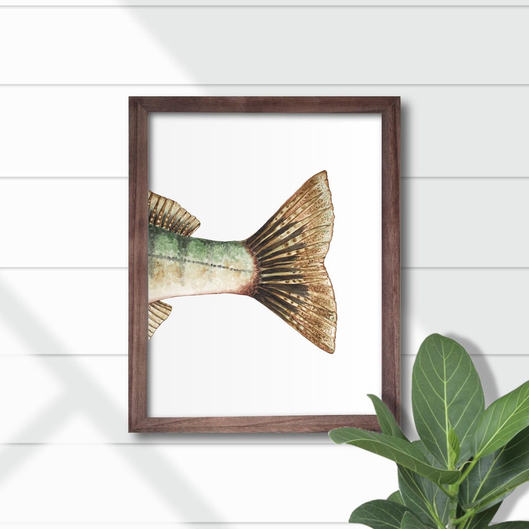Walleye Tail-watercolor Print, Hand Painted, Lake Erie Ohio, Midwest ...