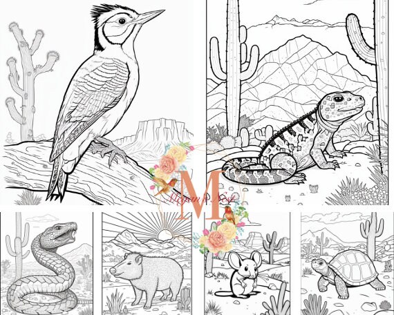 Arizona Wildlife Coloring Book | Print @ Home PDF | 30 Coloring Pages ...