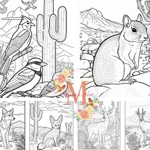 Arizona Wildlife Coloring Book | Print @ Home PDF | 30 Coloring Pages ...