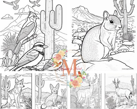 Arizona Wildlife Coloring Book | Print @ Home PDF | 30 Coloring Pages ...