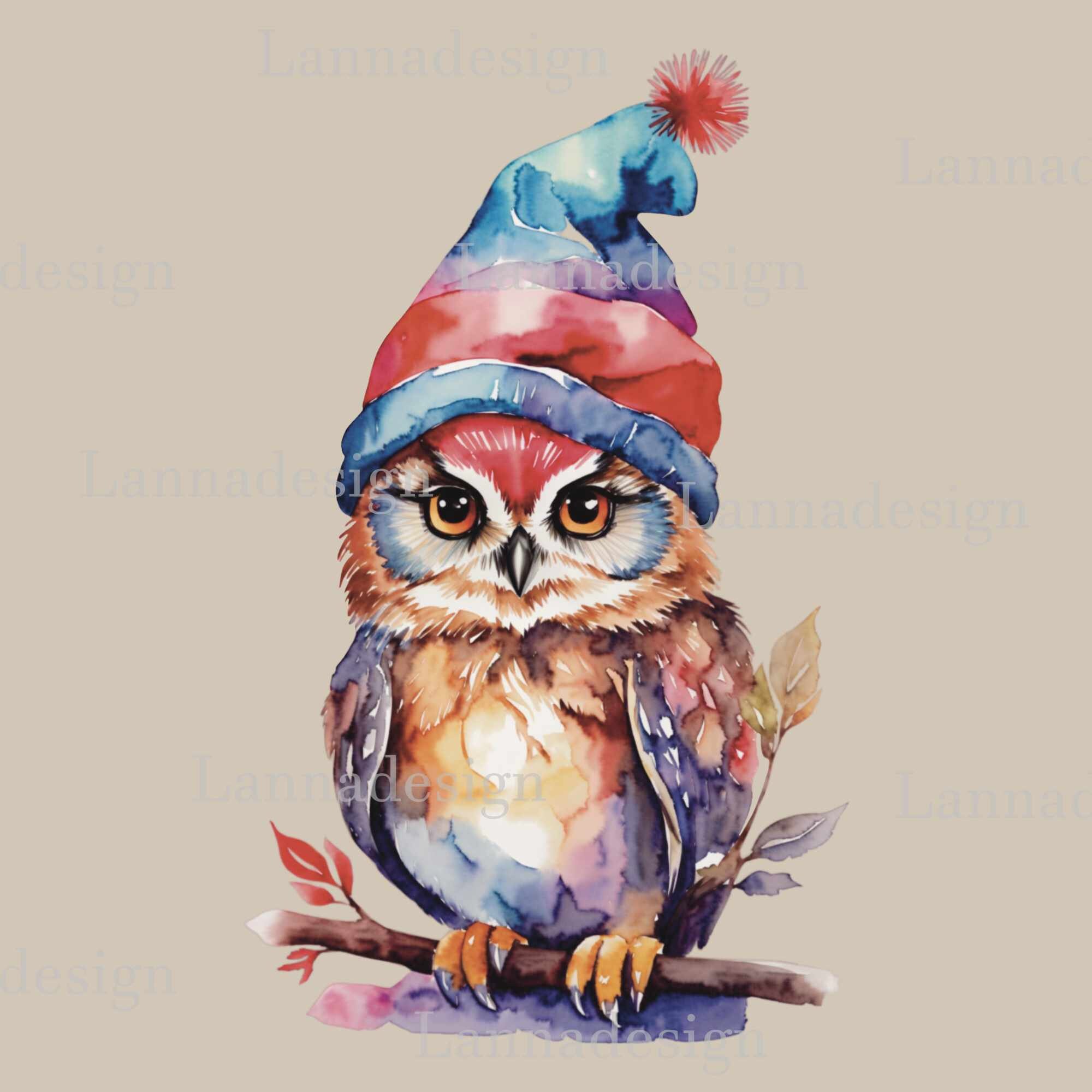 10 Owls Watercolor Clipart PNG Transparent Background,digital Download ...