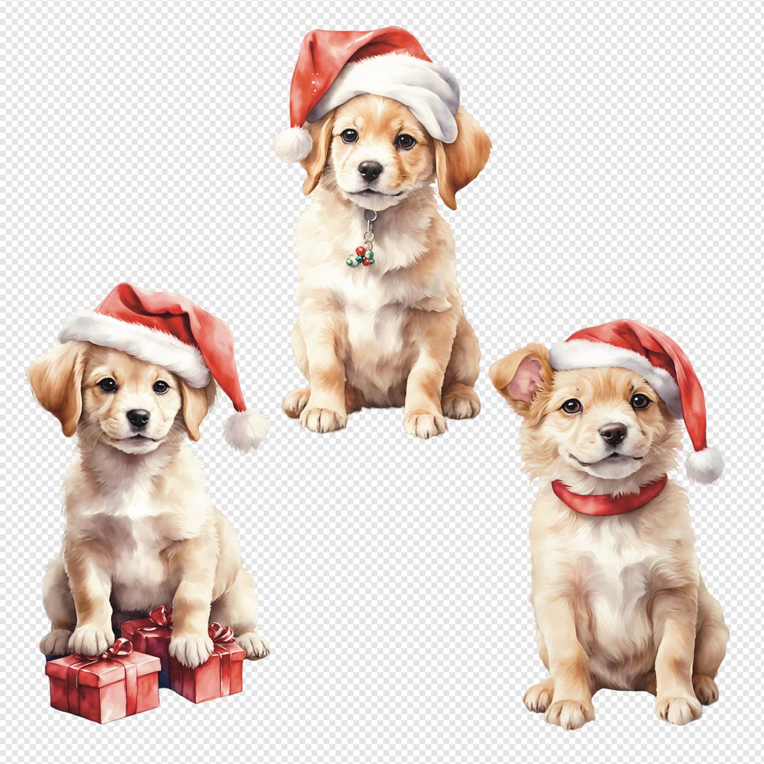 3 PNG File,cute Dog With Christmas Hat Clipart,sticker,digital Download ...