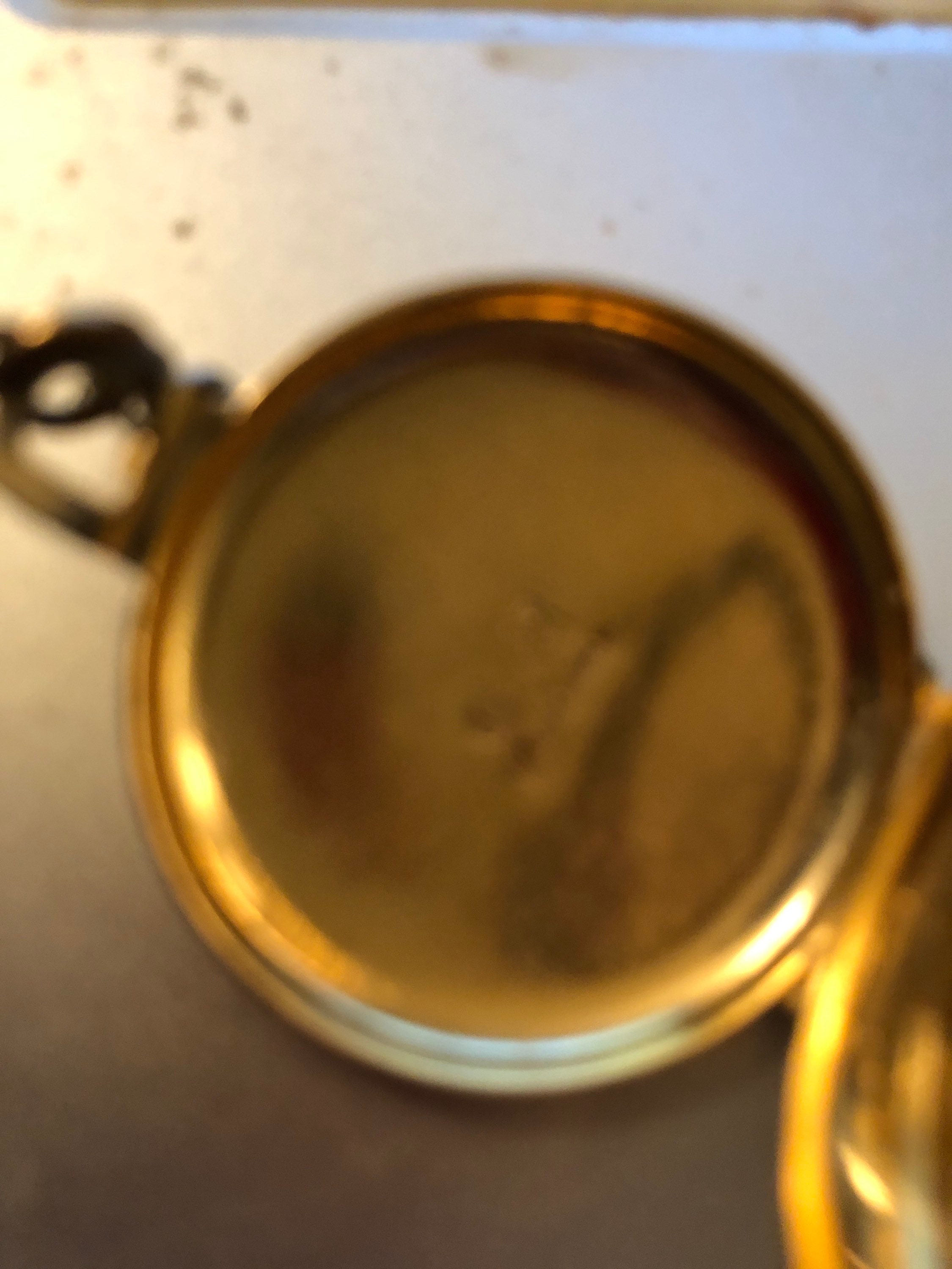 Vintage Gold Plate Locket by Coro Pegasus - Etsy