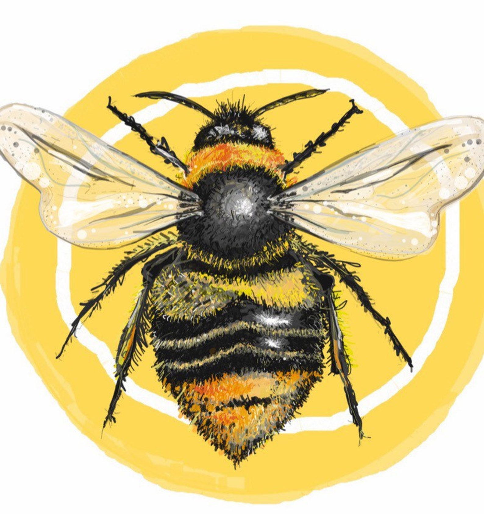 Bee Bright Print modern bee art bumblebee art British | Etsy