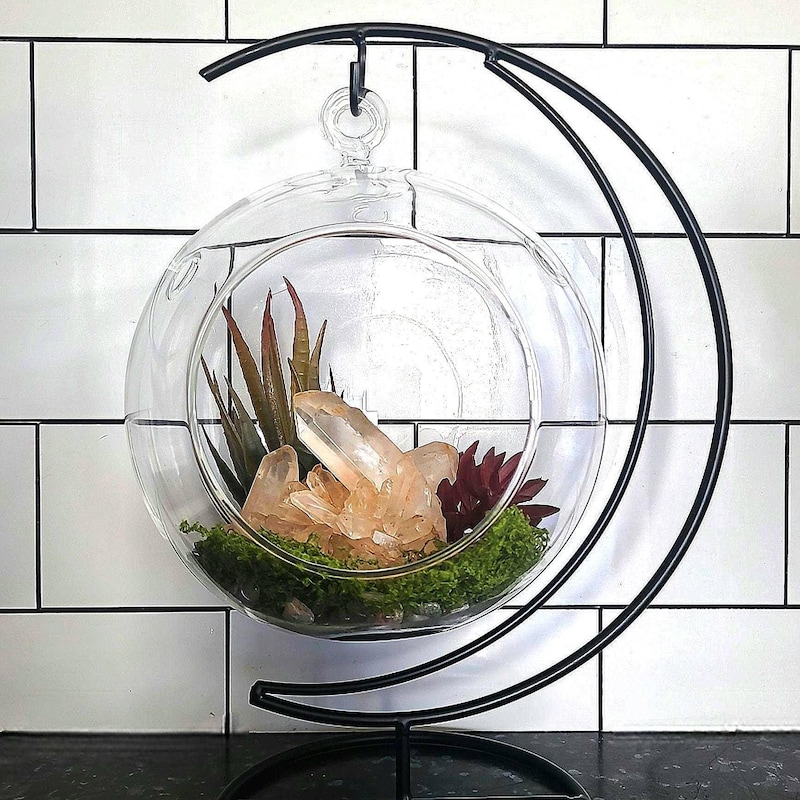 Unique Terrarium - Etsy