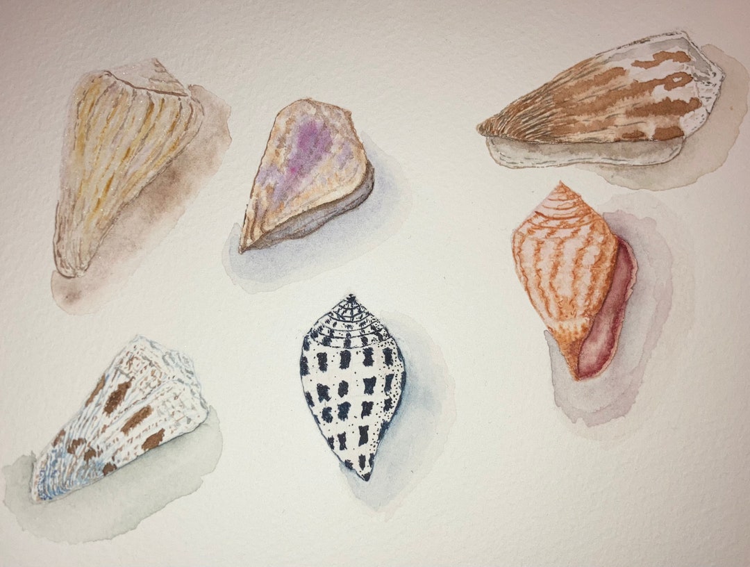Sally Sells Seashells II - Etsy