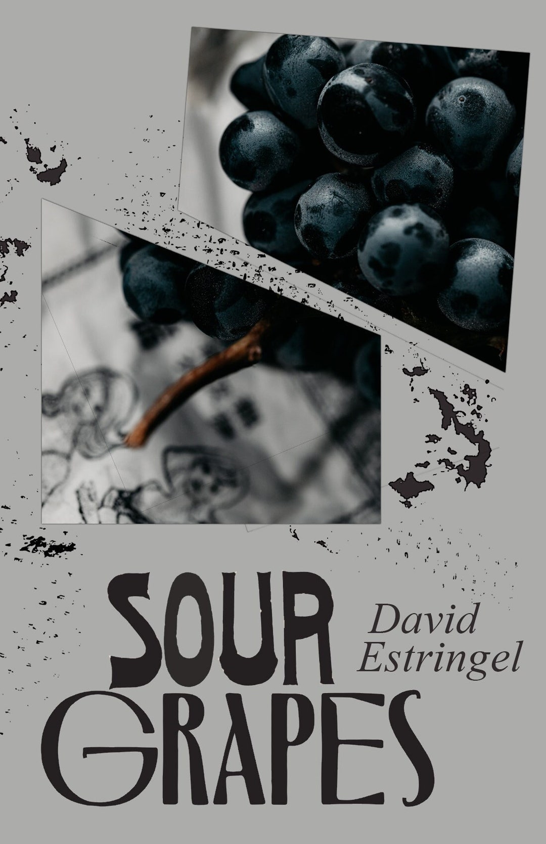 Sour Grapes -- Poems by David Estringel - Etsy