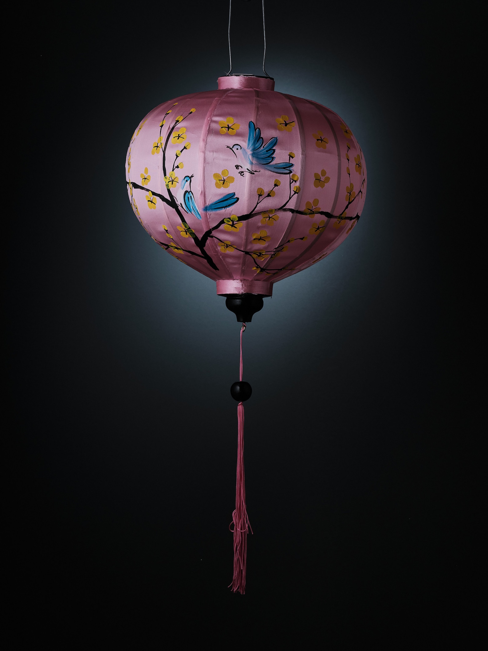 Silk Lantern Pink Painted - Etsy UK