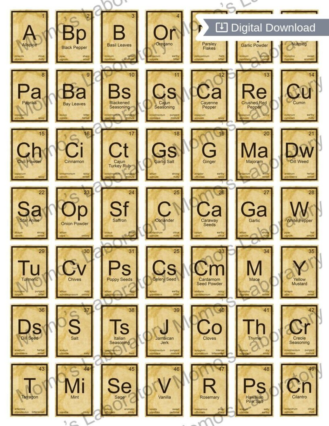 Test Tube Spice Labels - Science is Magic! at Momo's Laboratory ...
