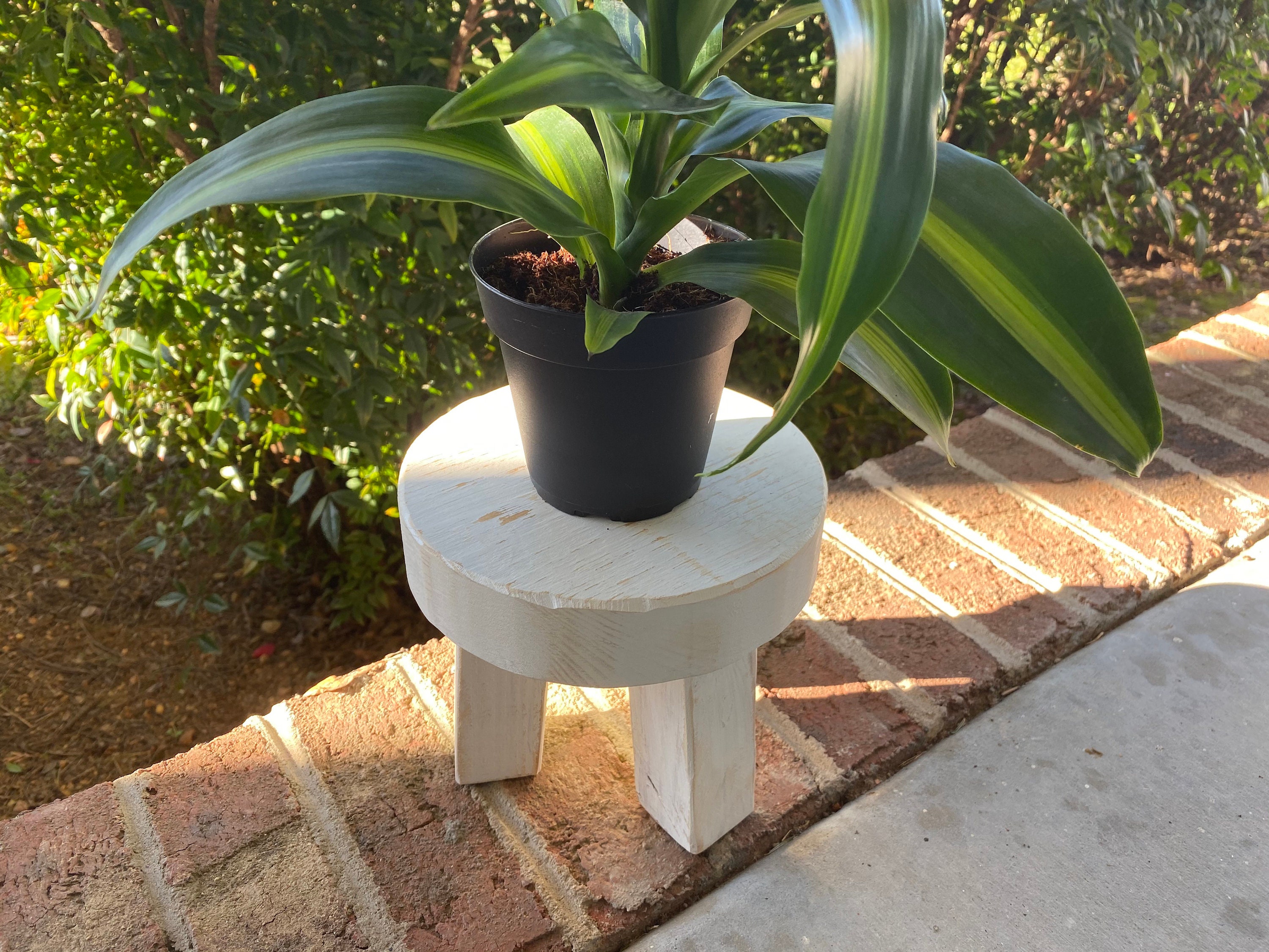 Rustic Plant Stand / Plant Stool / Milking Stool Set / | Etsy