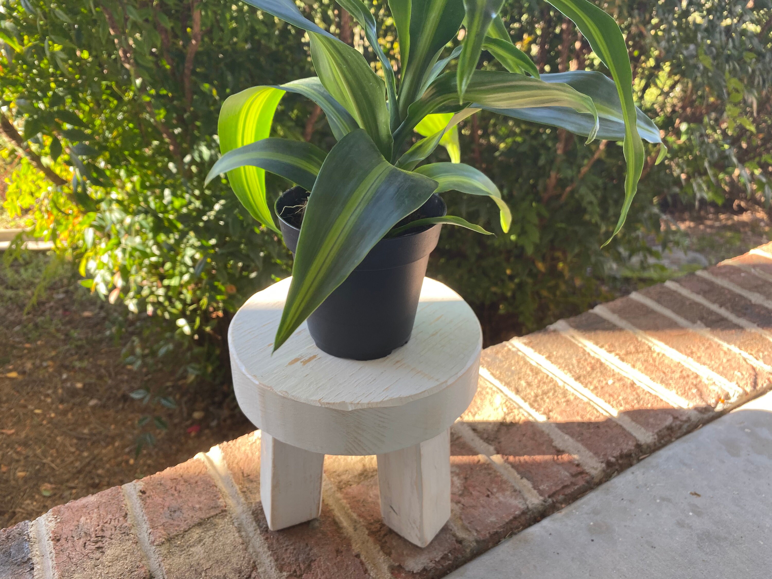 Rustic Plant Stand / Plant Stool / Milking Stool Set / | Etsy