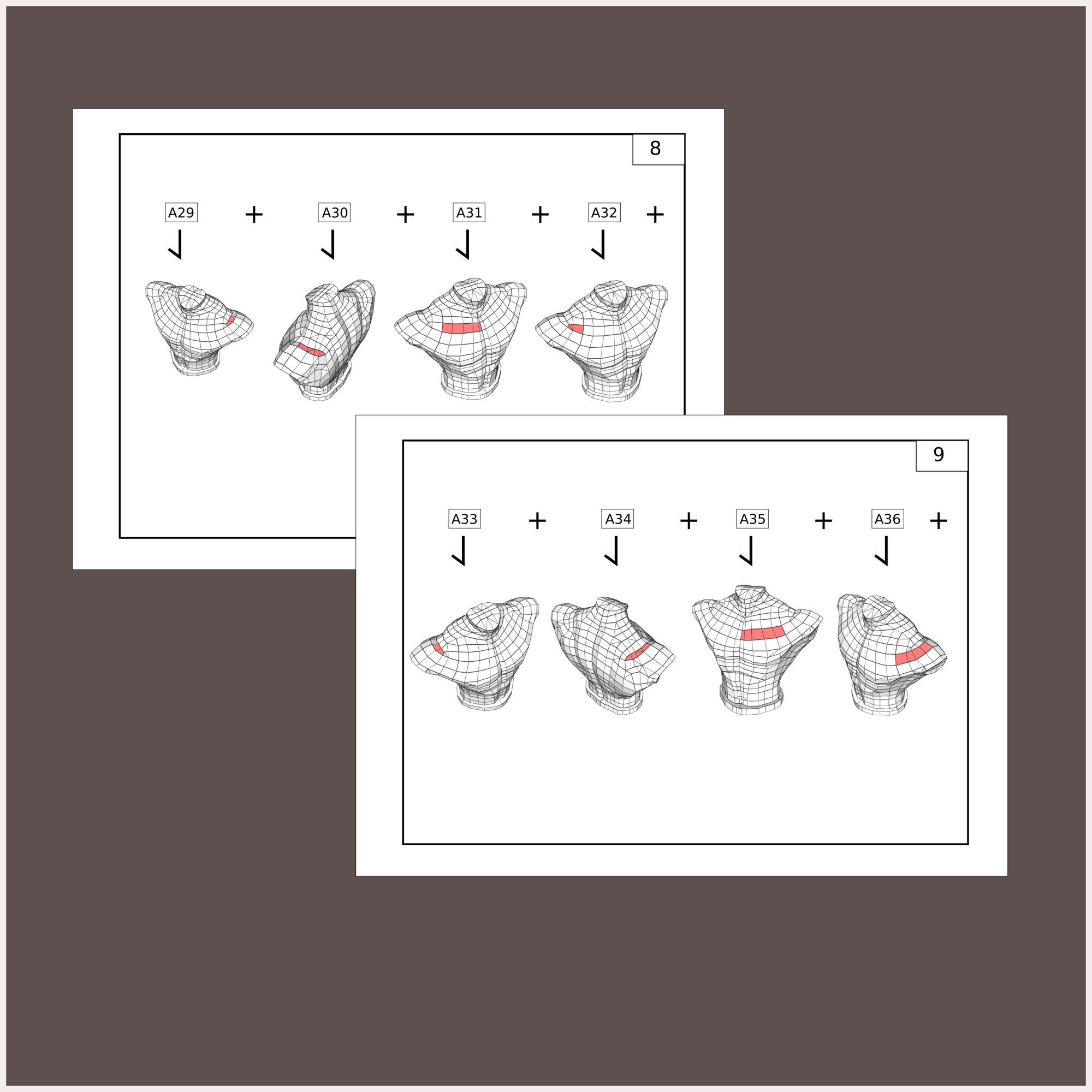 Male Torso 3D Papercraft DIY Paper Sculpture Paper Model - Etsy