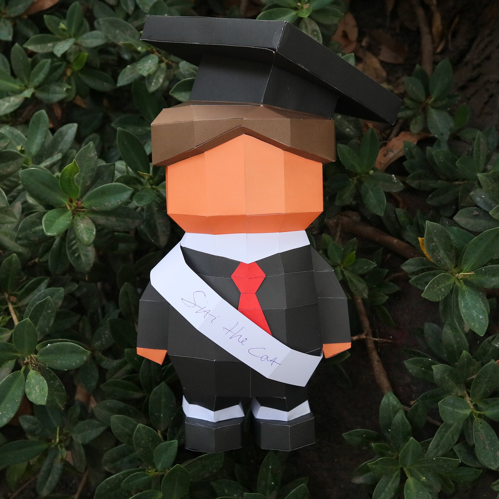 Graduation Boy Papercraft: DIY Low Poly Paper Sculpture (PDF Pattern ...