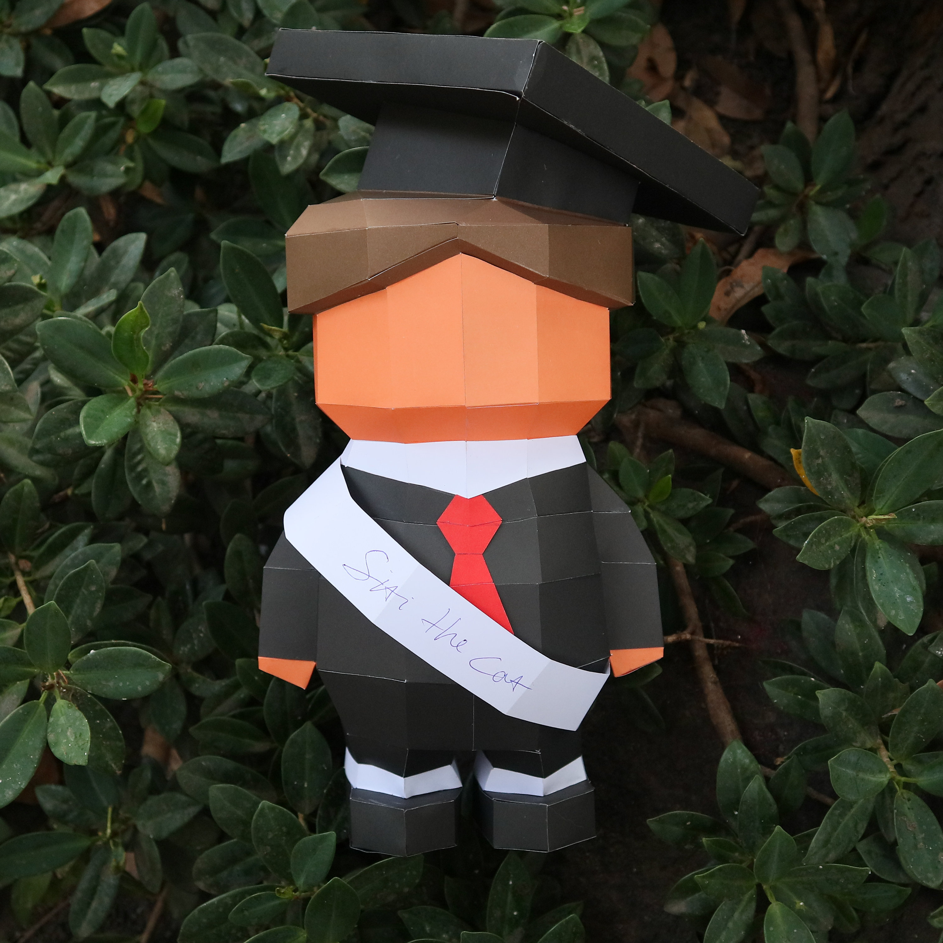 Graduation Boy Papercraft: DIY Low Poly Paper Sculpture (PDF Pattern ...