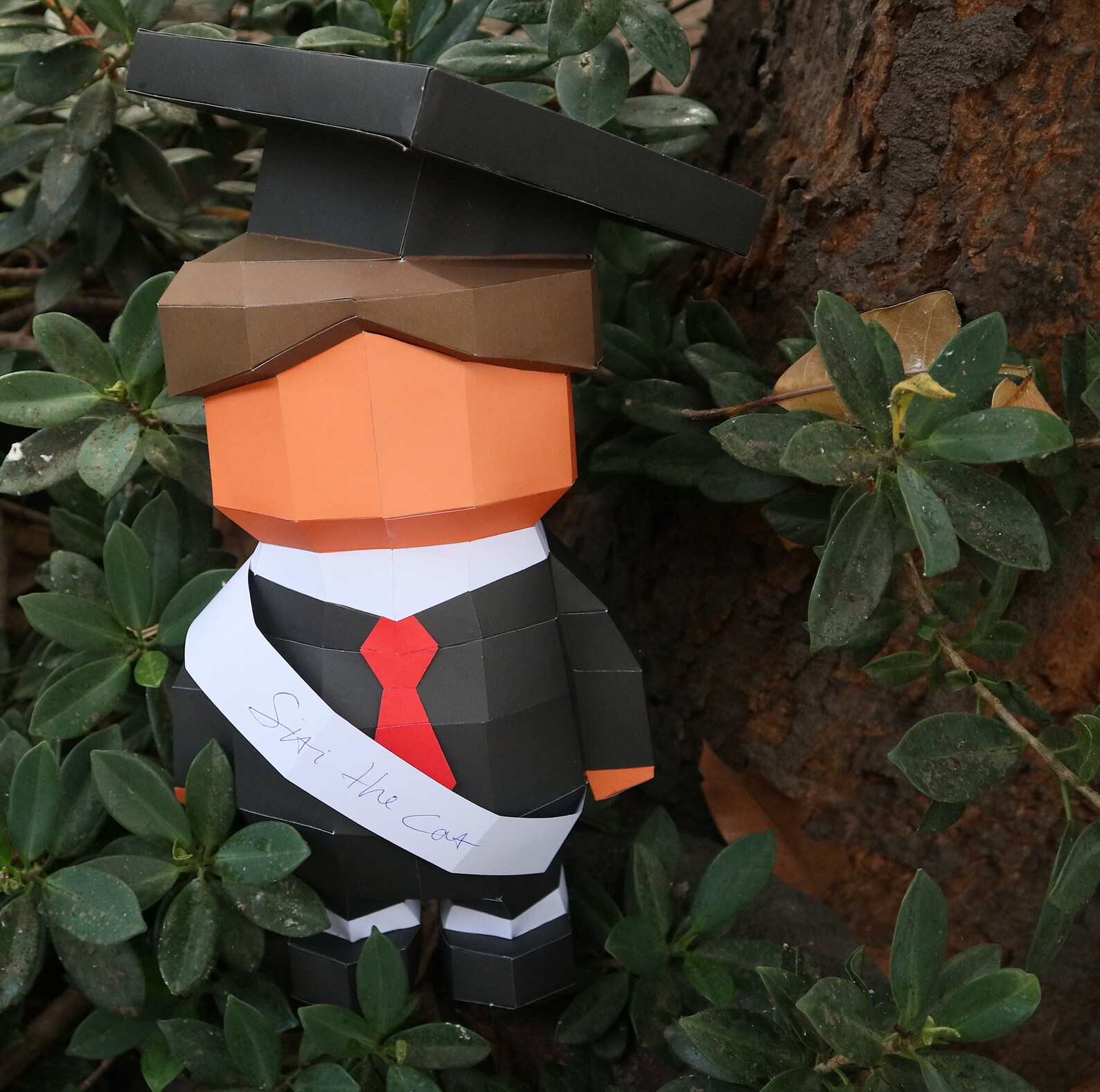 Graduation Boy Papercraft: DIY Low Poly Paper Sculpture (PDF Pattern ...