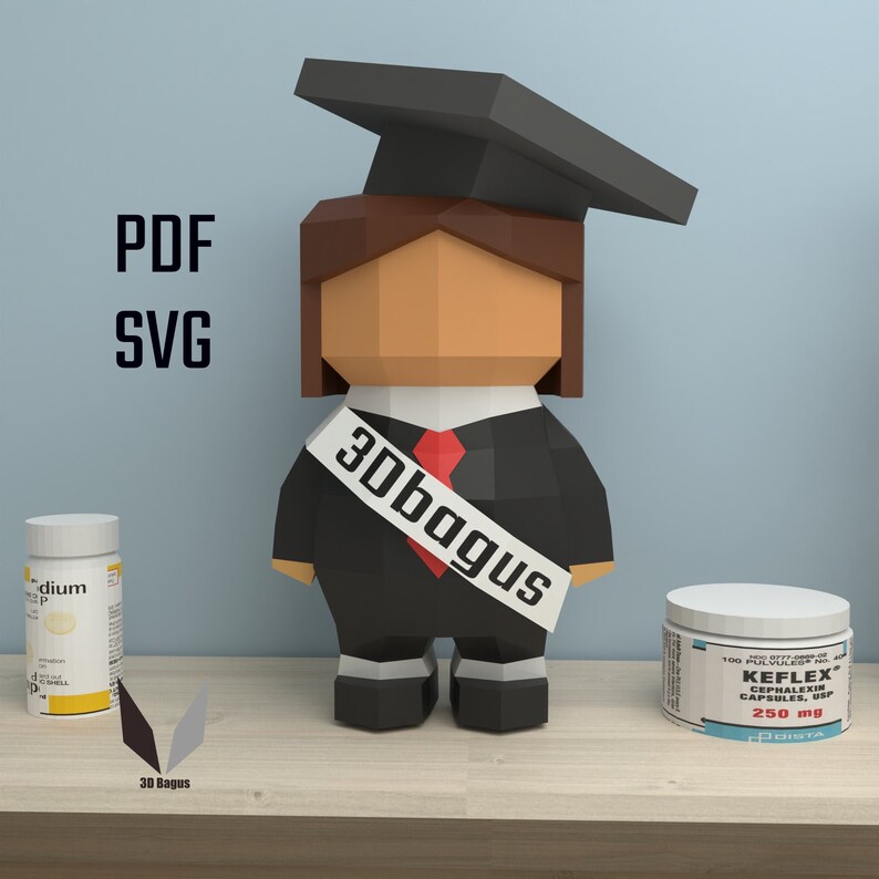 Graduation Girl 3D Papercraft DIY Paper Sculpture Paper - Etsy