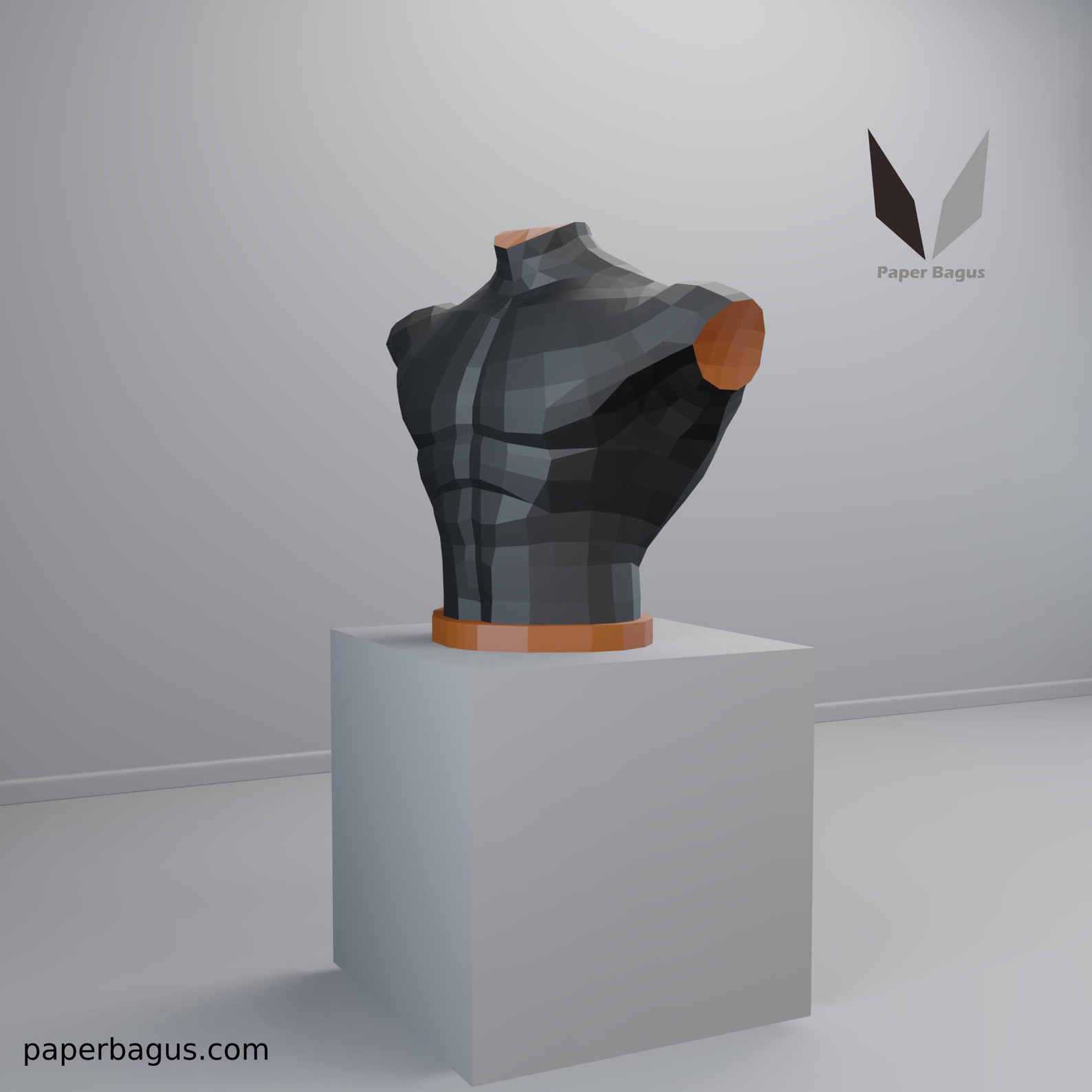 Male Torso 3D Papercraft DIY Paper Sculpture Paper Model - Etsy