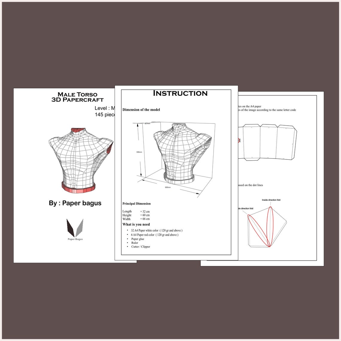 Male Torso 3D Papercraft DIY Paper Sculpture Paper Model - Etsy