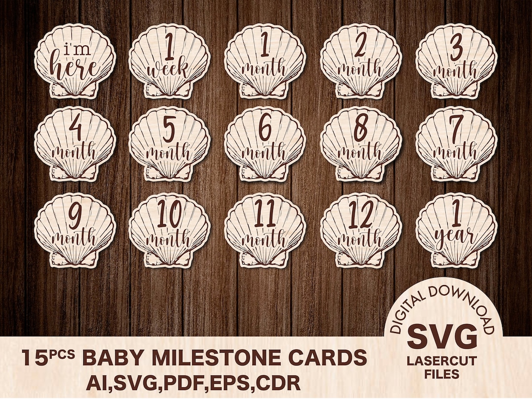 Seashell Monthly Milestone Markers, Baby Milestones, Wood Milestone ...
