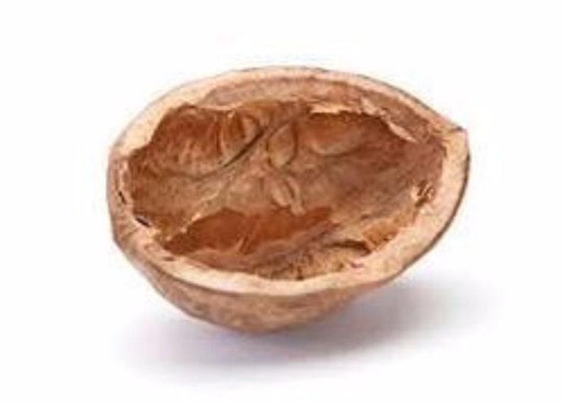 Walnut Shells Halves | Empty Walnut Shells to Use as Craft Supplies ...
