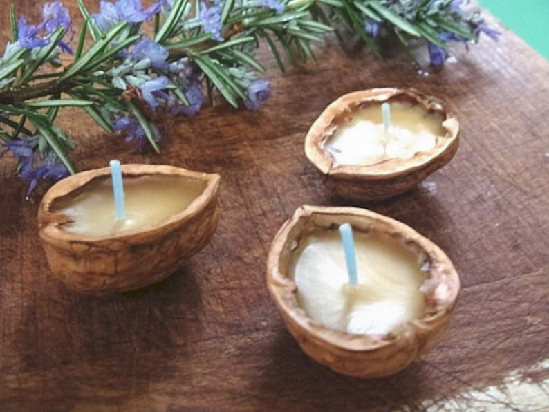 Walnut Shells Halves | Empty Walnut Shells to Use as Craft Supplies ...