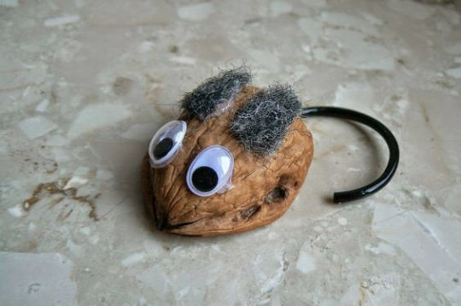 Walnut Shells Halves | Empty Walnut Shells to Use as Craft Supplies ...