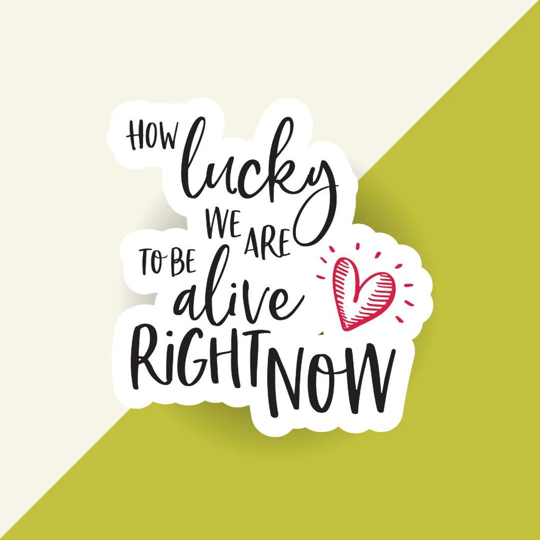 Hamilton Musical Sticker Inspired for Broadway Lovers Schuyler Sisters ...