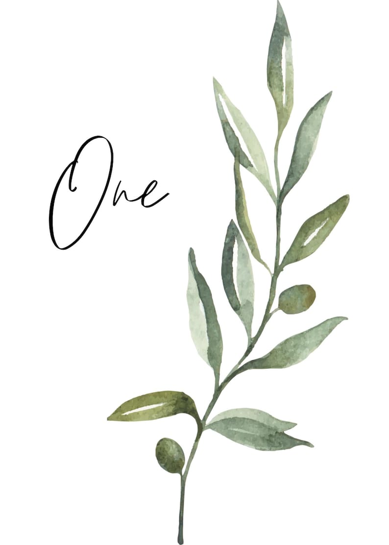 Olive Branch Wedding Table Number Template 1-8, Mediterranean Branch ...