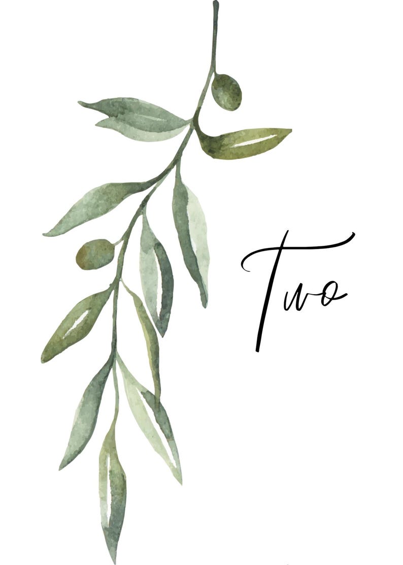 Olive Branch Wedding Table Number Template 1-8, Mediterranean Branch ...
