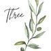 Olive Branch Wedding Table Number Template #1-7, Mediterranean Branch ...