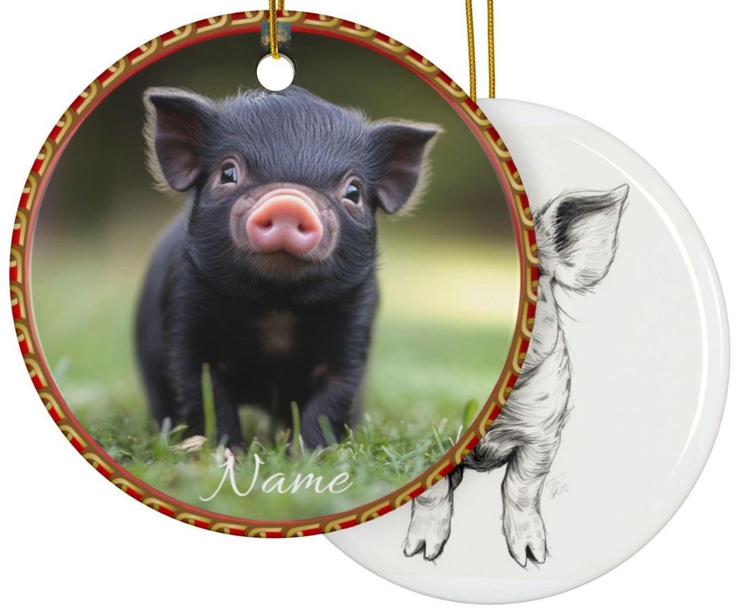 Personalized Baby Pot Bellied Pig Ornament With Black & White Sketch on ...