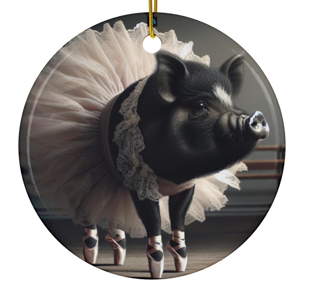 Personalized Ballerina Pig Christmas Ornament, Custom Pig Lover Gift ...