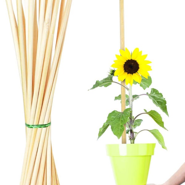 Large Plant Stakes - Etsy