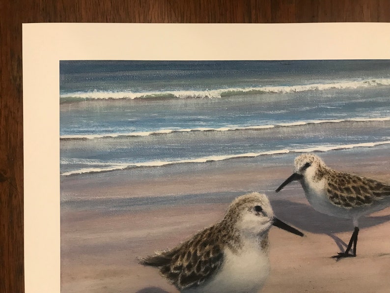 Birds on a Beach-playing Coy Prints,shoreline Birds,sandpipers,coastal ...